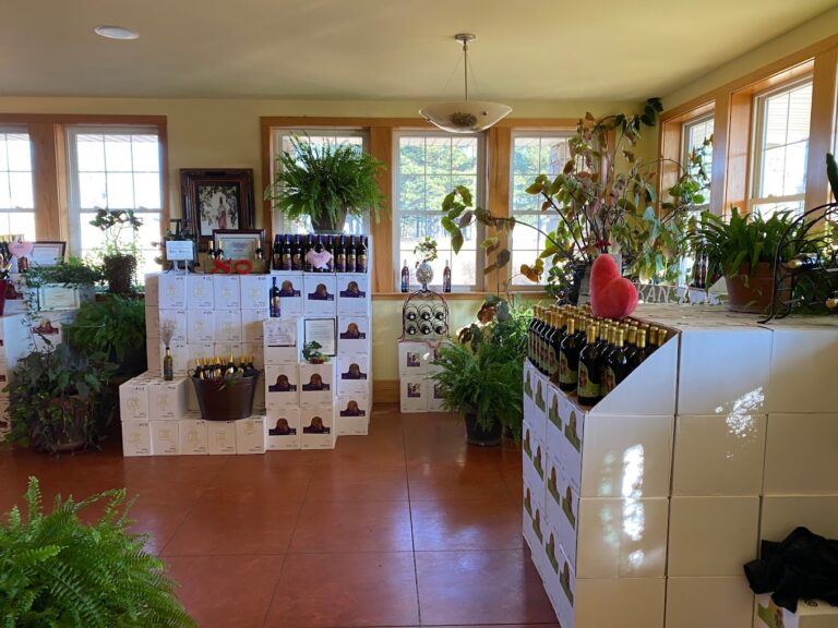 Best 12 Wineries in Arkansas: A Guide to the Finest Vineyards in the ...