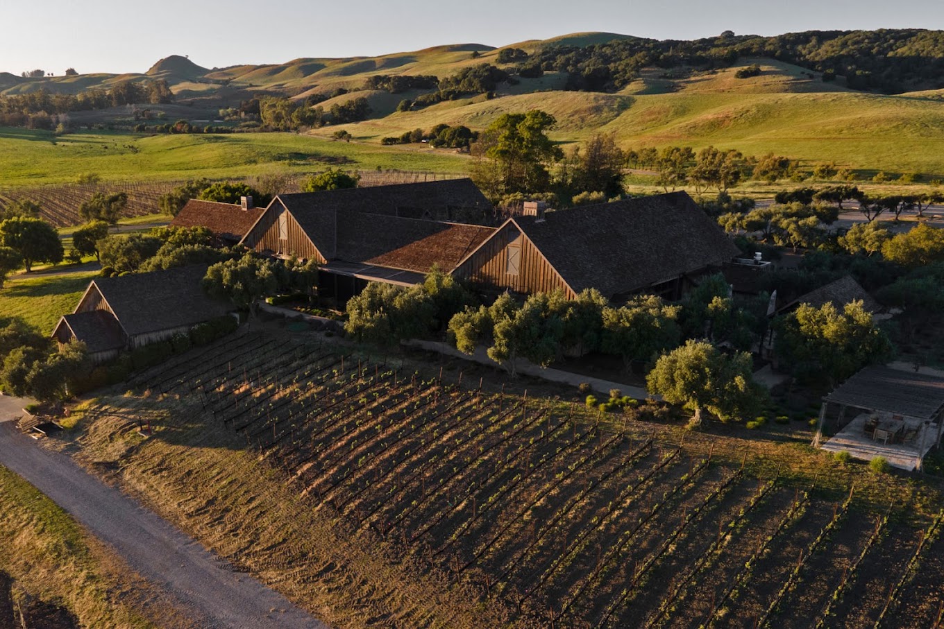Best 18 Wineries in California: Top Picks for Wine Lovers - TravelEnvoy