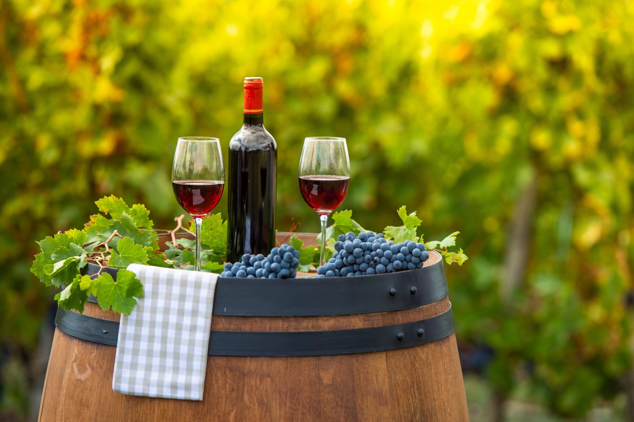 Best 6 Wineries in San Diego CA: A Guide to the Top Vineyards in the ...