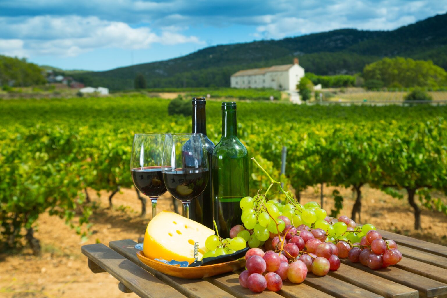 Best 9 Wineries in St Helena CA: A Guide to Napa Valley's Finest ...
