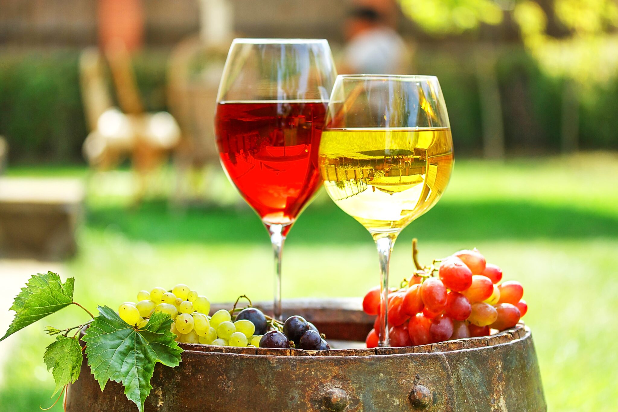 Best 6 Wineries in Amador County CA: A Guide to Wine Tasting and ...
