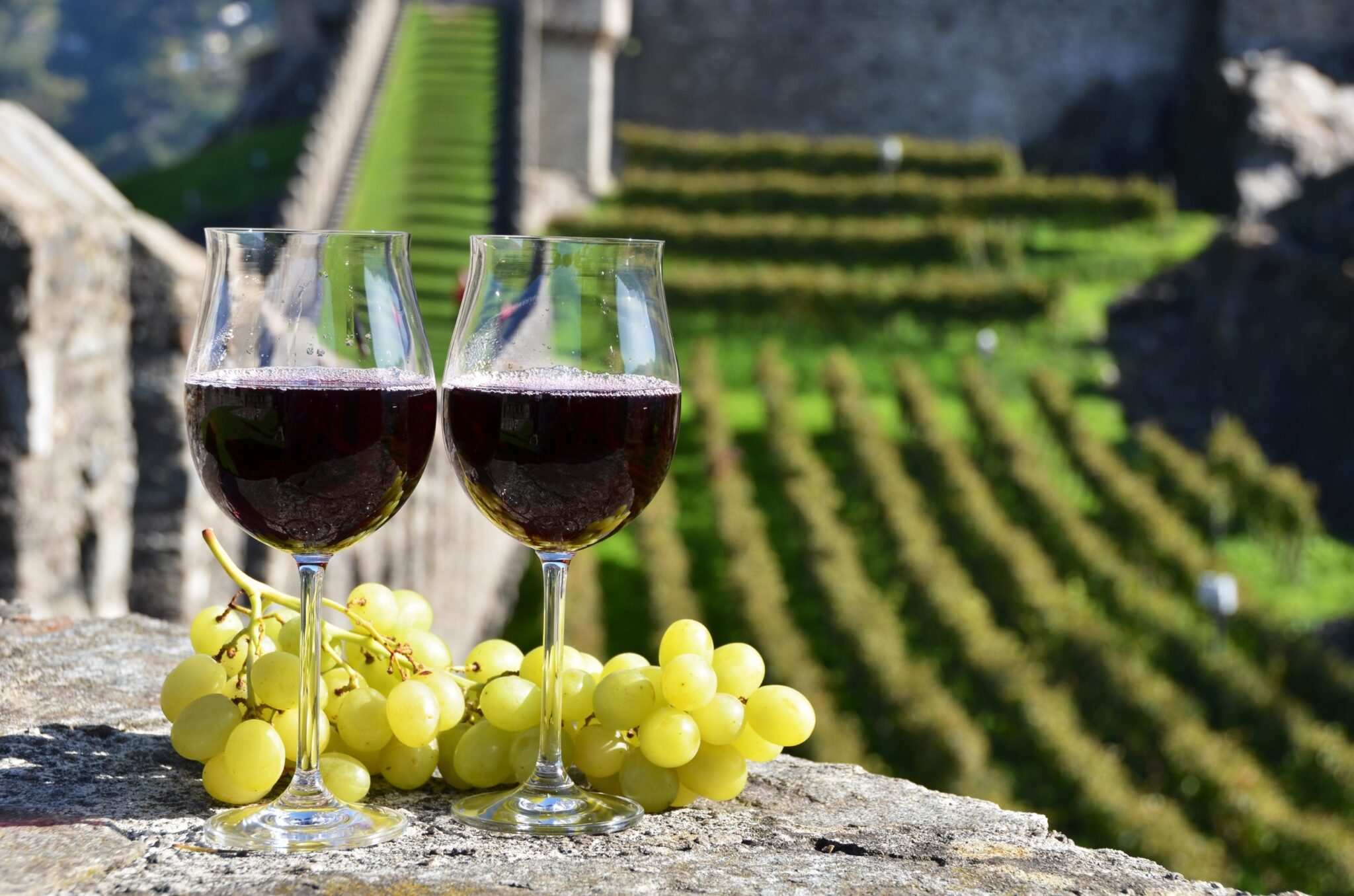 Best 5 Wineries in Ojai CA: Discover the Top Vineyards in the Area ...