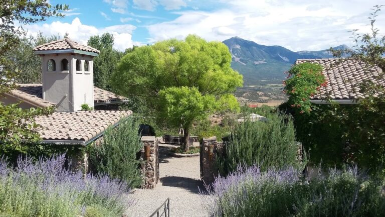 Best 13 Wineries in Colorado: Discover the Top Vineyards in the ...