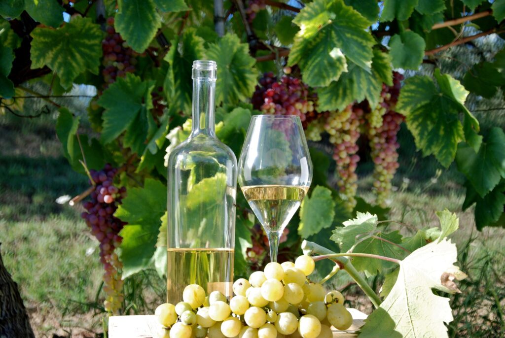 Best 6 Wineries in Palisade CO: A Guide to the Top Vineyards in the ...