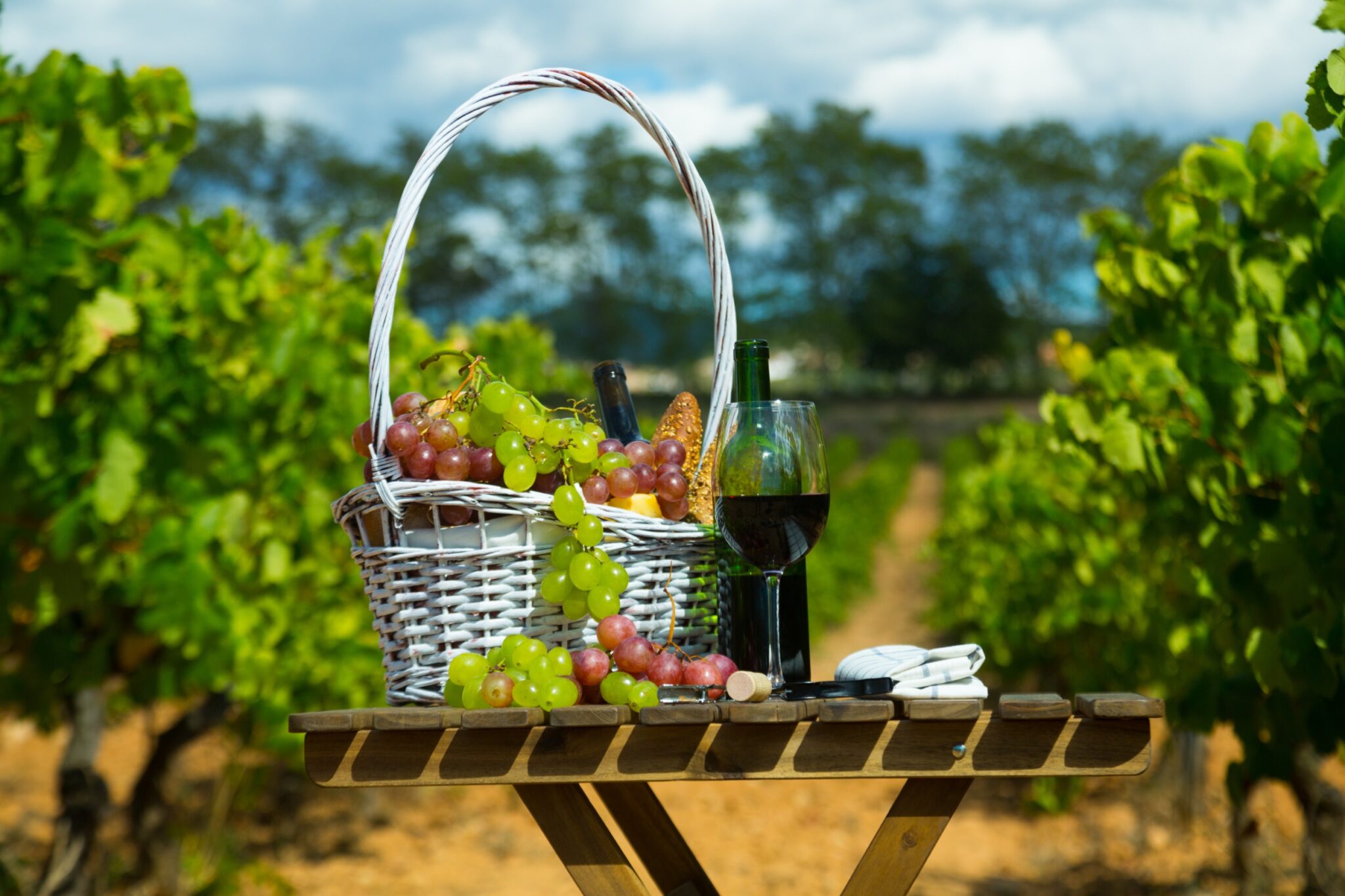Best 9 Wineries in South Jersey NJ: A Guide to the Top Vineyards in the ...