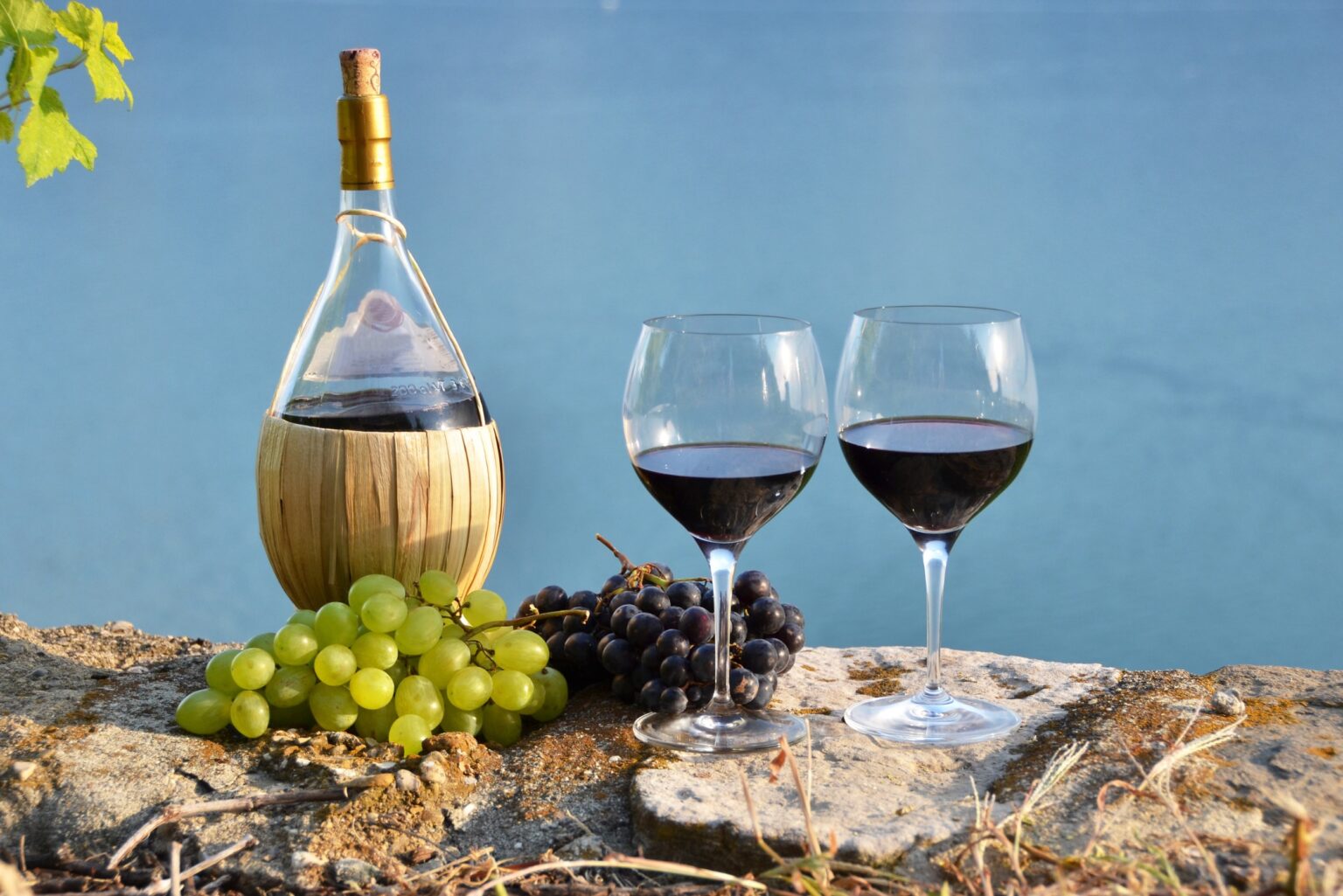 Best 5 Wineries in Louisville KY: Top Places to Sip and Savor - TravelEnvoy