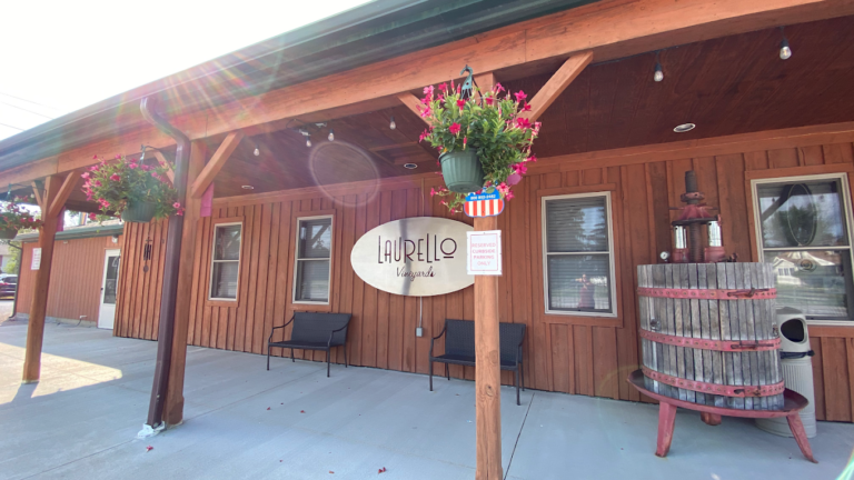 Best 12 Wineries in Geneva OH: A Guide to the Top Tasting Rooms and ...