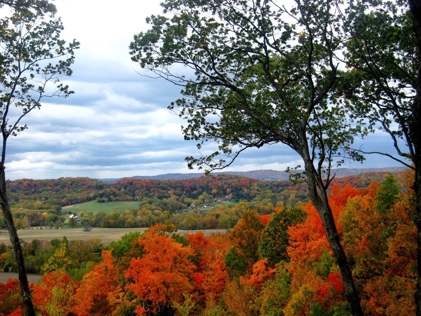 Best 5 Wineries in Augusta MO: A Guide to the Top Vineyards in the Area ...