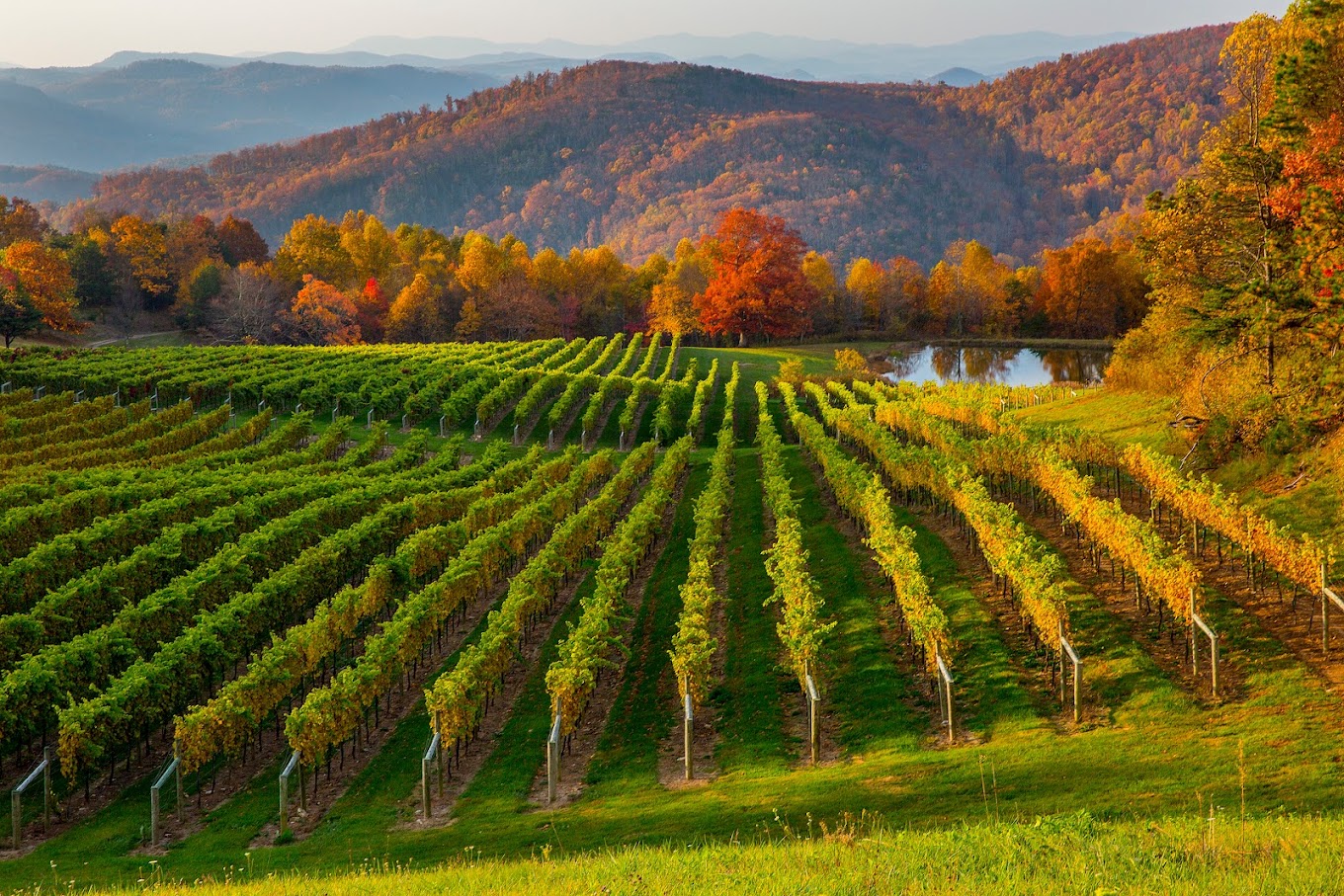 Best 9 Wineries in Asheville NC: A Guide to the Top Vineyards in the ...