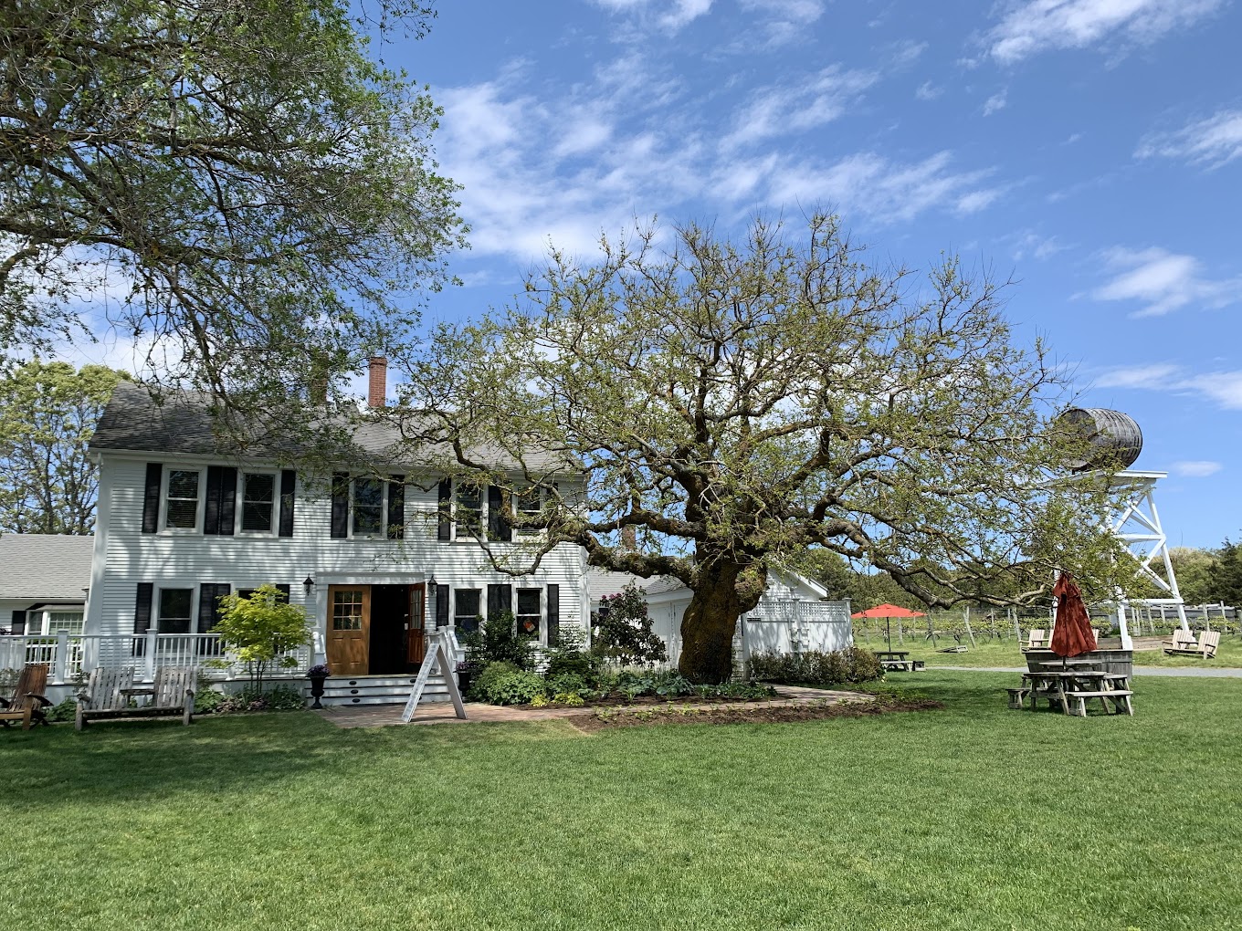 Best 18 Wineries in Massachusetts: A Guide to the Top Vineyards and ...
