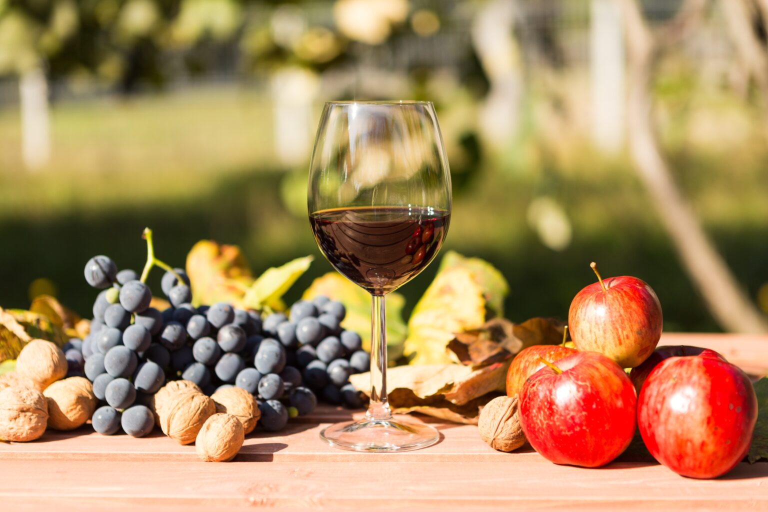 Best 9 Wineries in South Jersey NJ: A Guide to the Top Vineyards in the ...