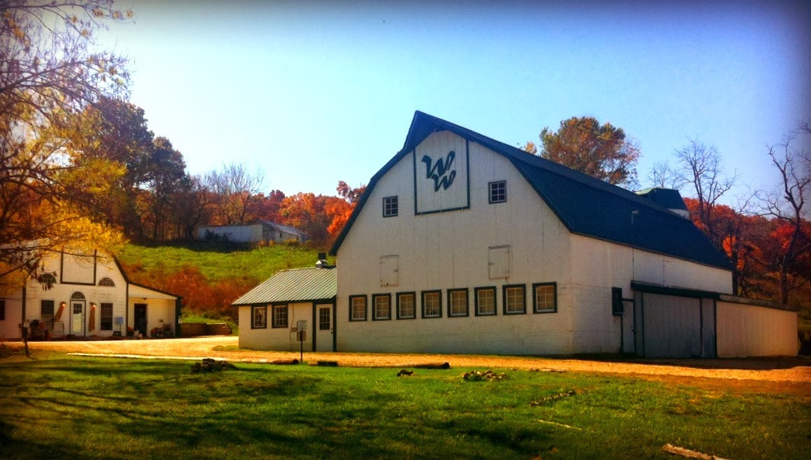 Best 15 Wineries in Missouri: Top Places to Savor Fine Wines - TravelEnvoy