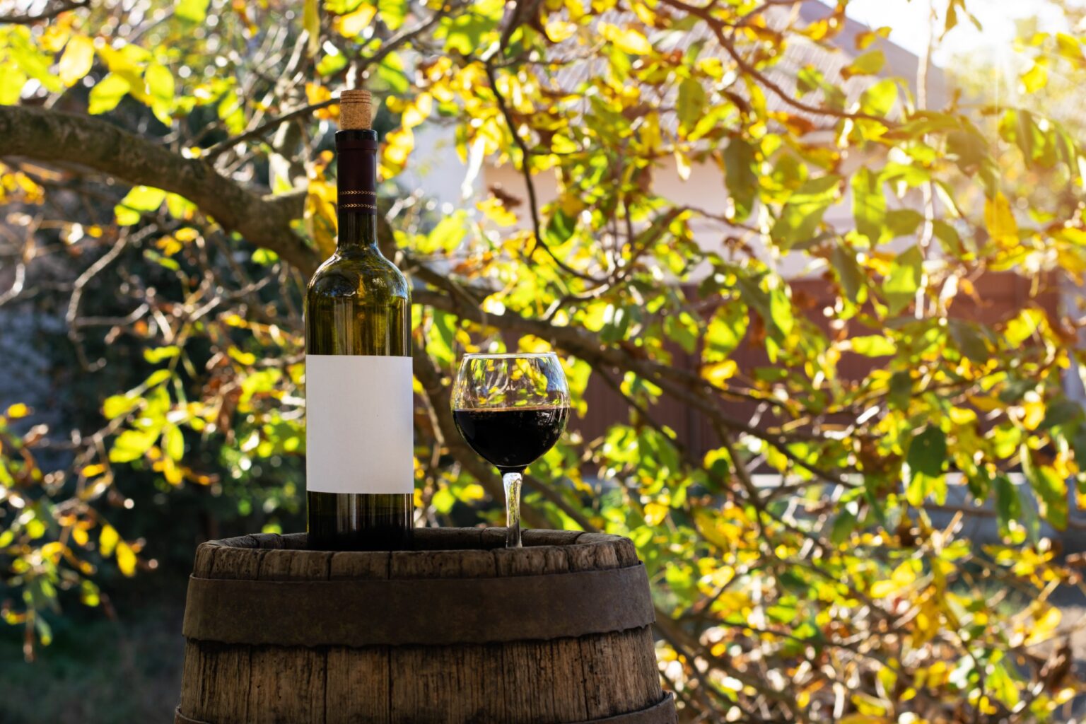 Best 8 Wineries in Nashville TN: Top Picks for Wine Lovers - TravelEnvoy