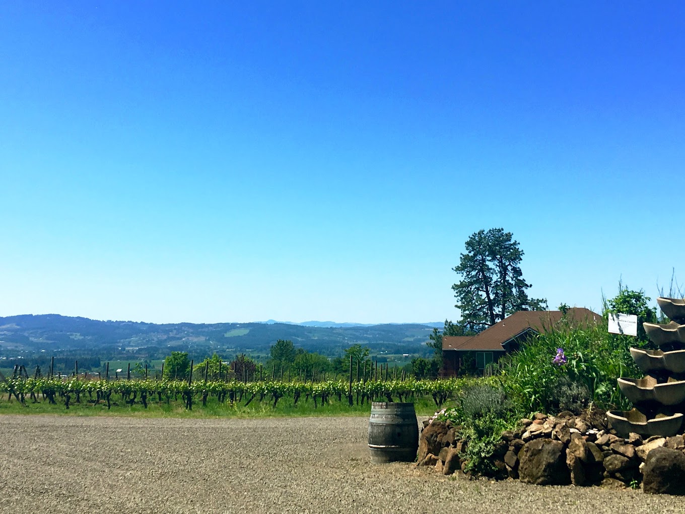 Best 10 Wineries in Portland OR: A Guide to the Top Vineyards in the ...